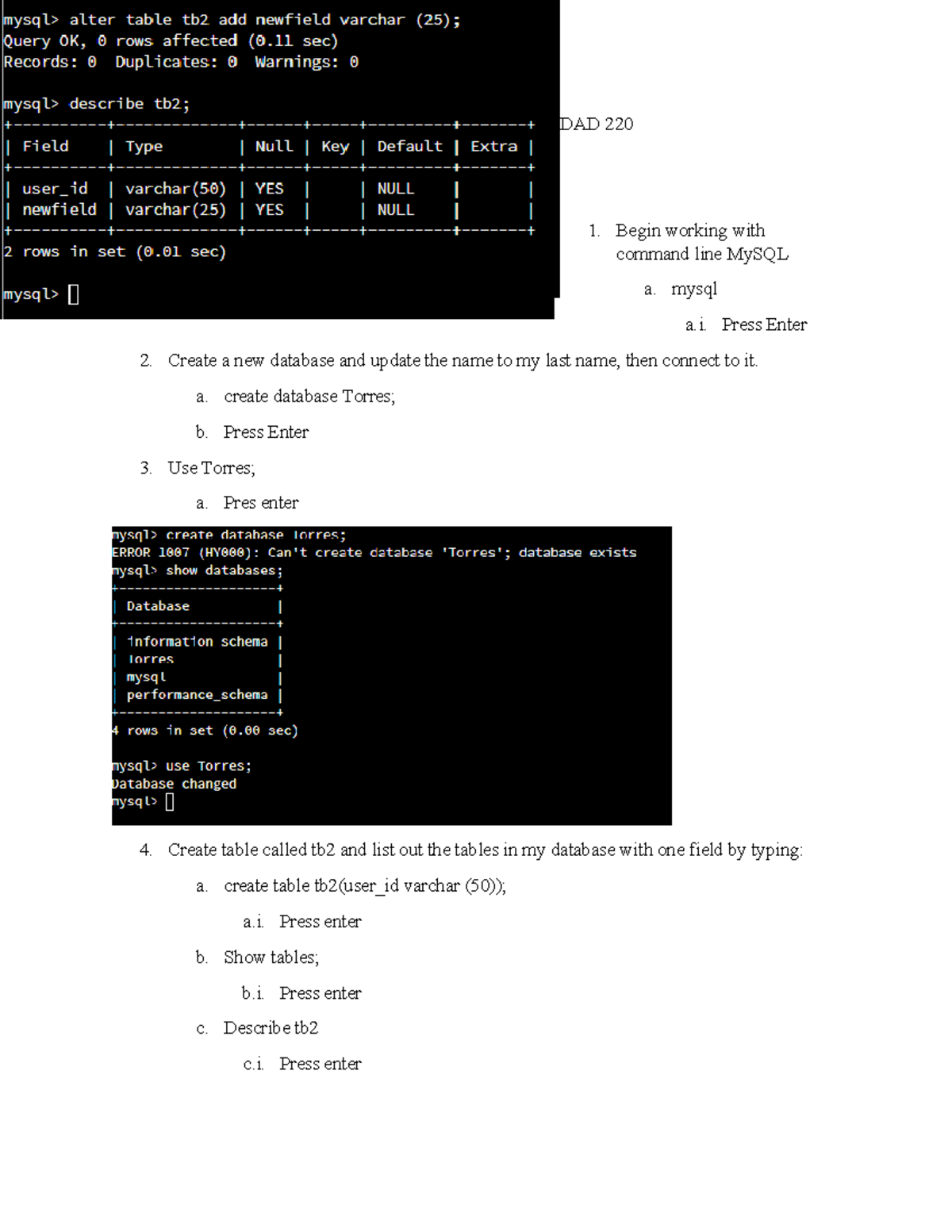 DAD 220 - DAD 220 - DAD-220 - DAD 220 Begin working with command line ...