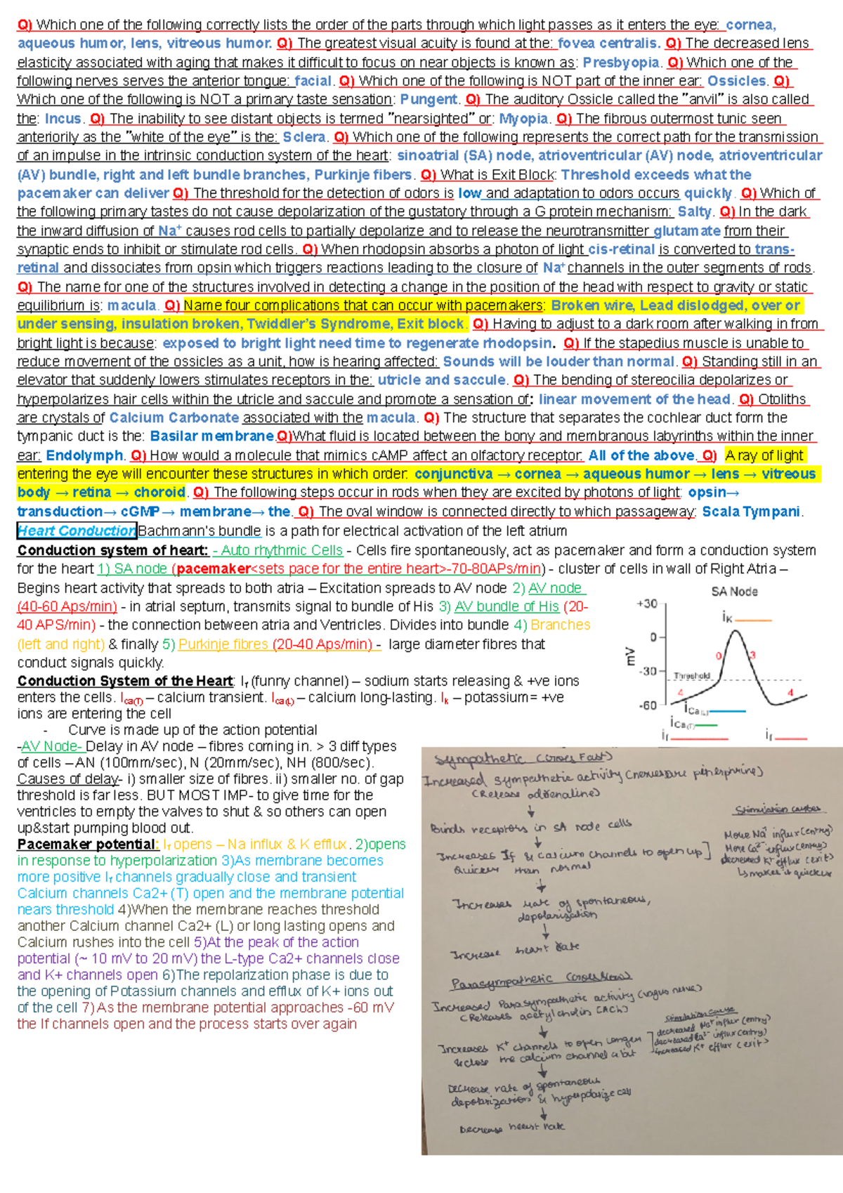 Physio notes - Q) Which one of the following correctly lists the order ...