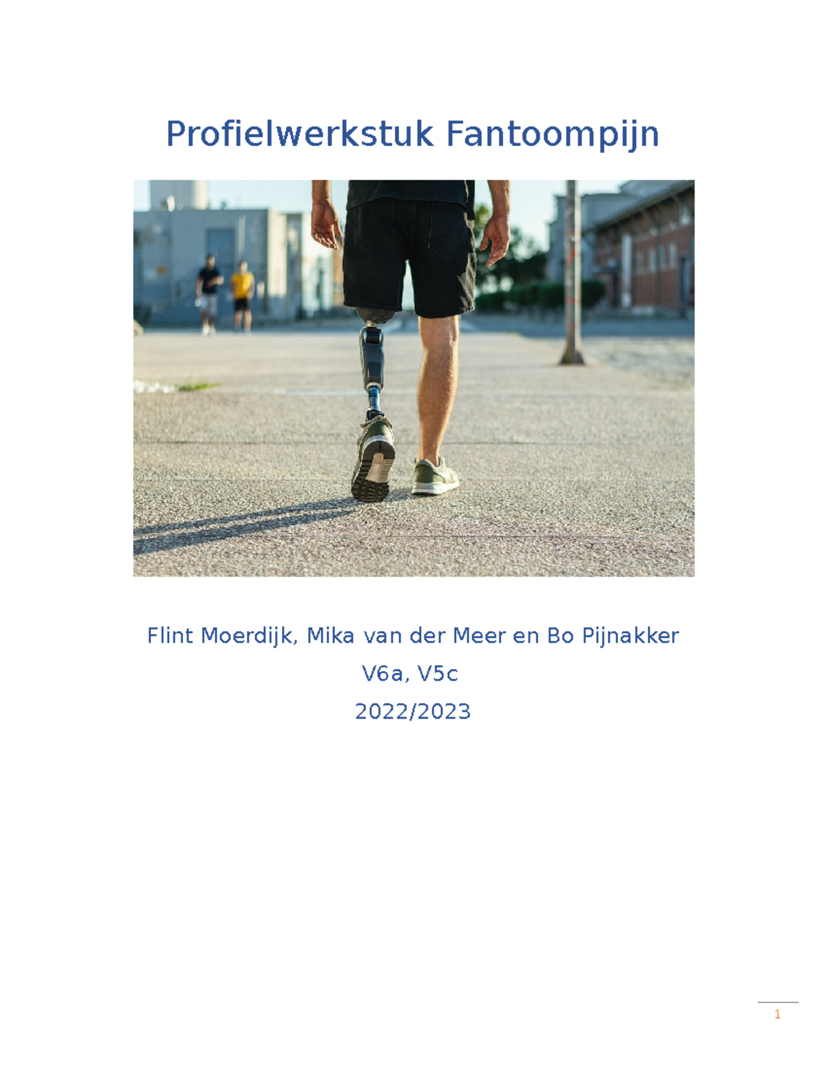 Profielwerkstuk Fantoompijn - Profielwerkstuk Fantoompijn Flint ...