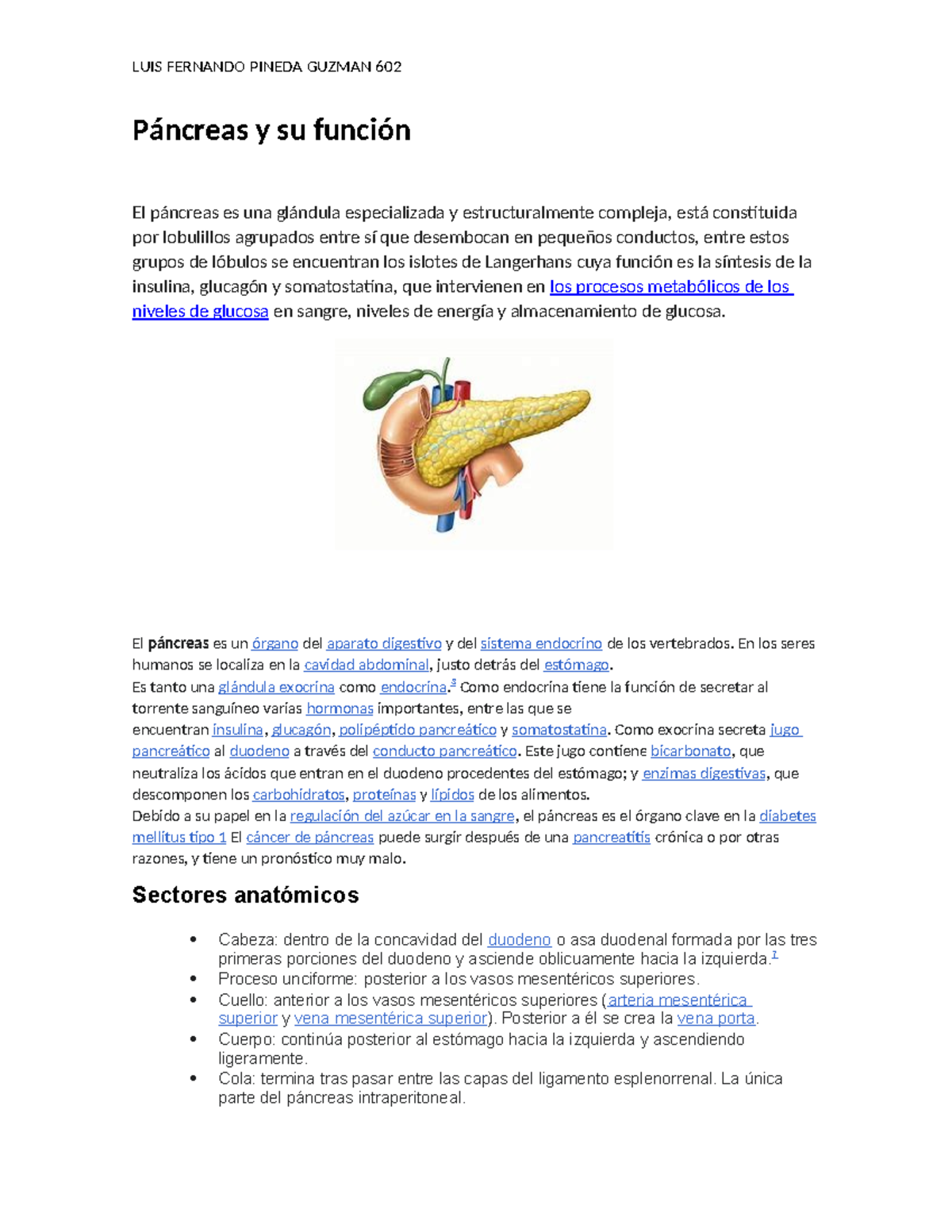 Páncreas y su función Fernando - LUIS FERNANDO PINEDA GUZMAN 602 ...