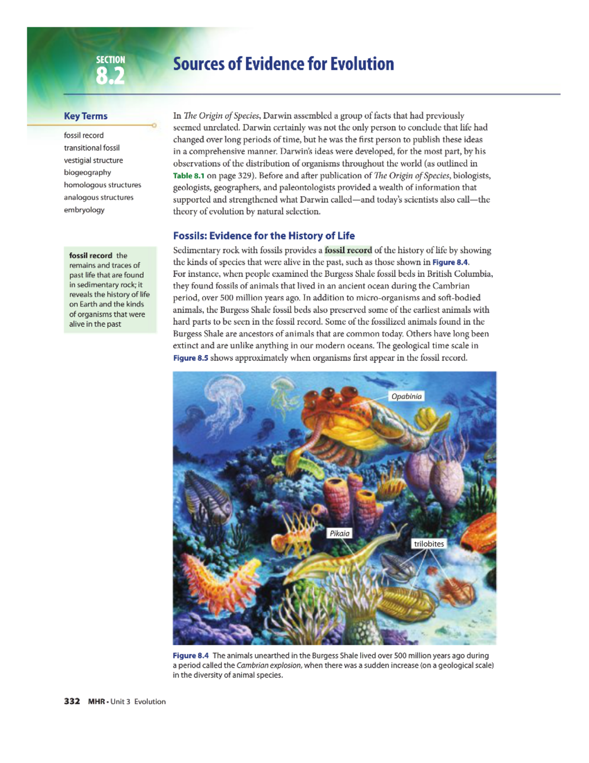 Copy of Chapter 08 Section 2 (332-340) - Studocu