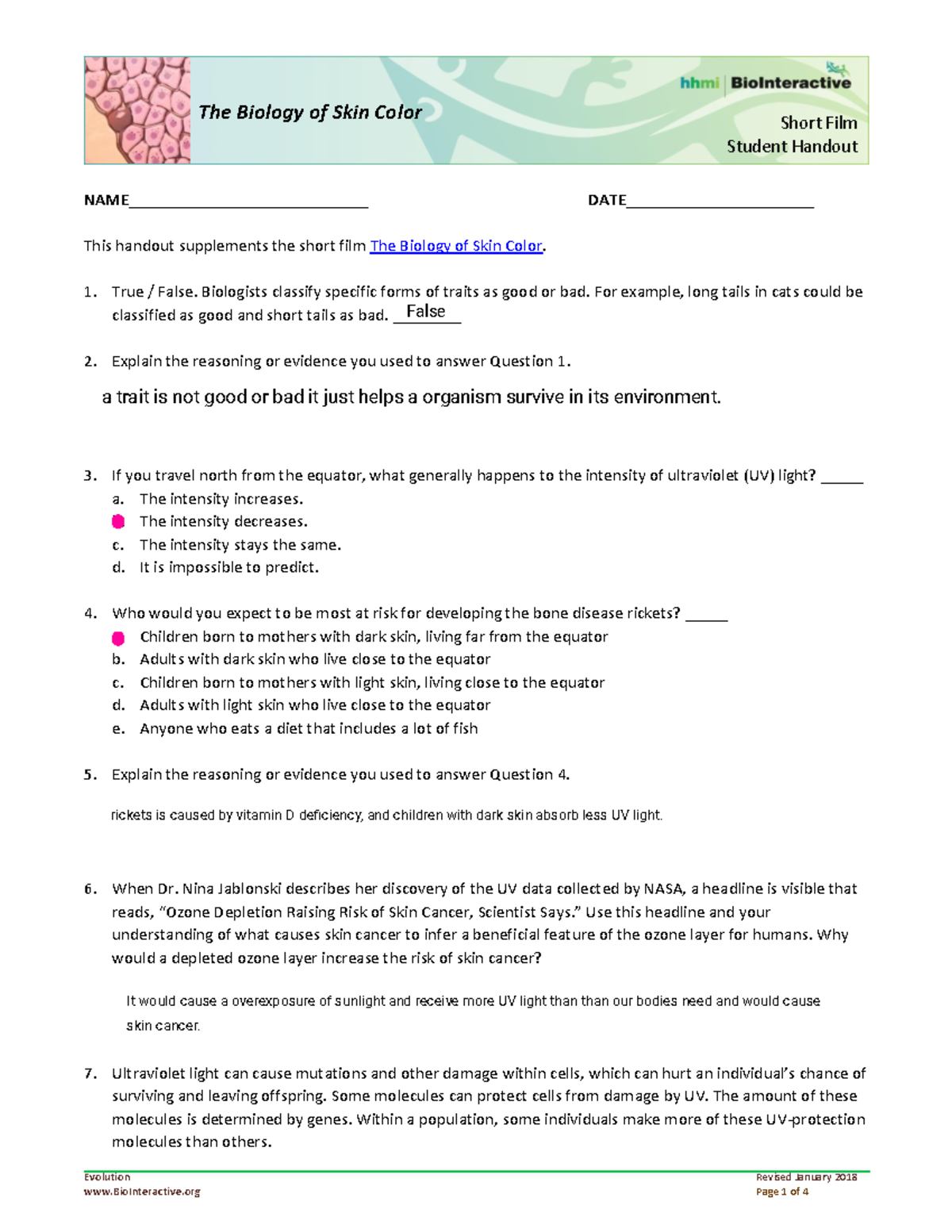 Biology of Skin Color Handout - Evolution Revised January 2018 ...