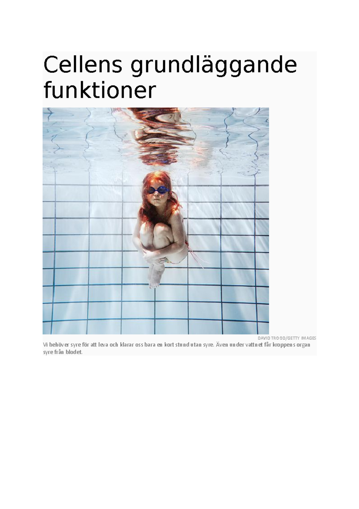 Cellens grundläggande funktioner - Cellens grundläggande funktioner ...