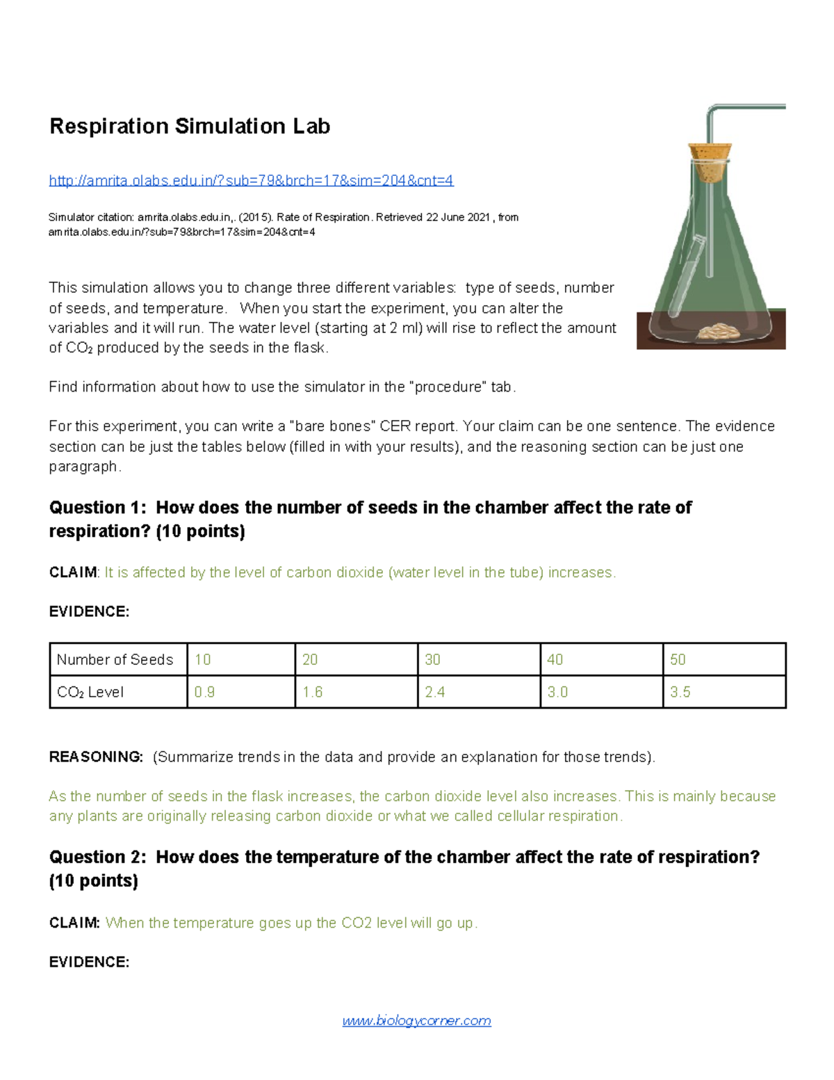 Respiration Simulation Lab - Respiration Simulation Lab - Studocu