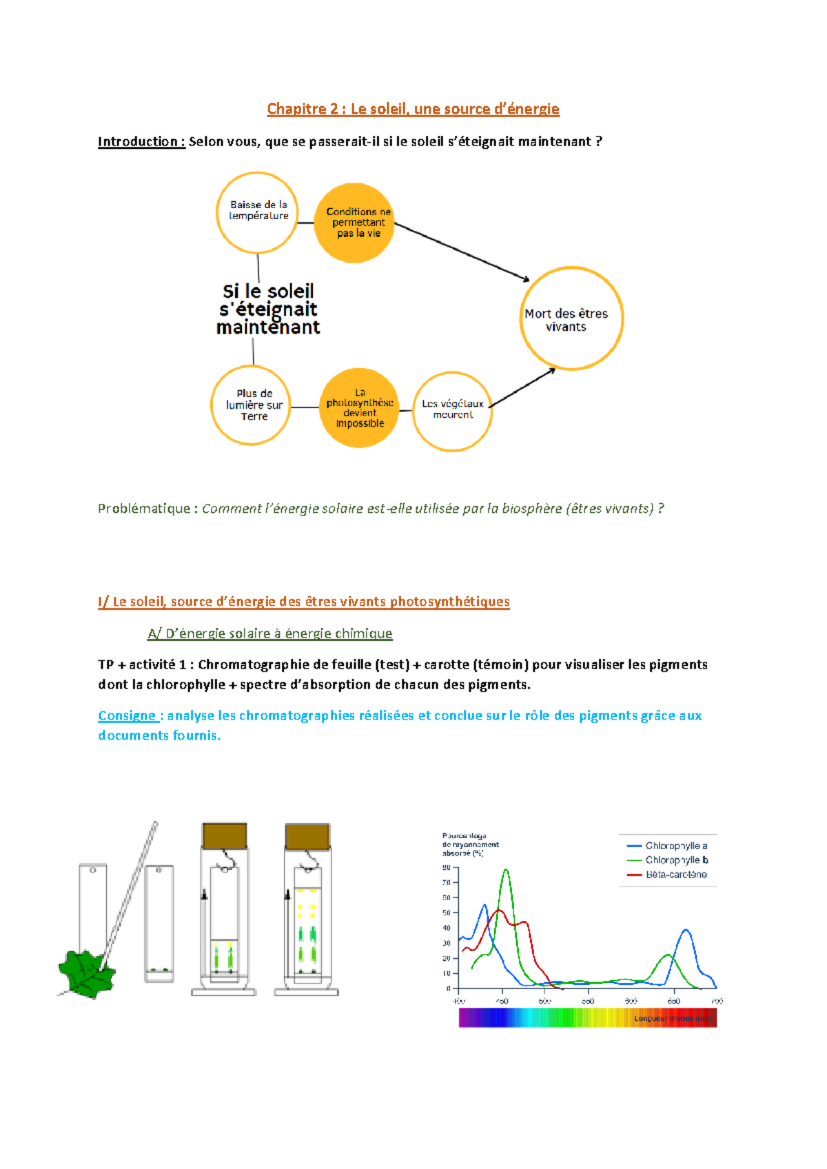 Trace écrite chap 2 1e - Photosynthèse - Chapitre 2 : Le soleil, une ...