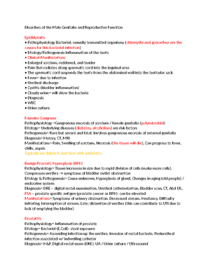 Patho Concept Map Template with Instructions - Pathophysiology Concept ...
