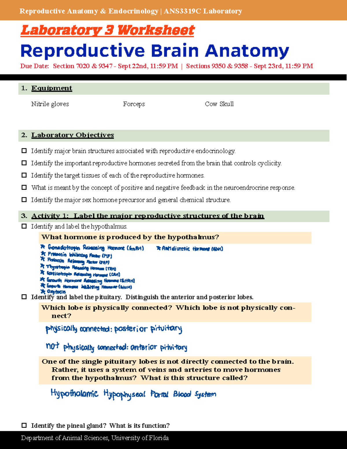 Lab 3 Experiment Worksheet - Reproductive Brain Anatomy L Laboratory 3 ...