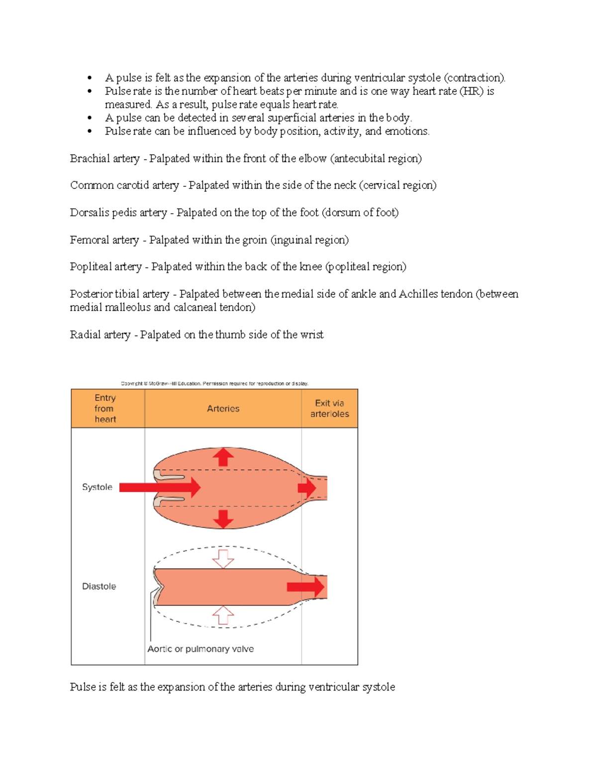 Pulse Rate Lab Summary - A pulse is felt as the expansion of the ...