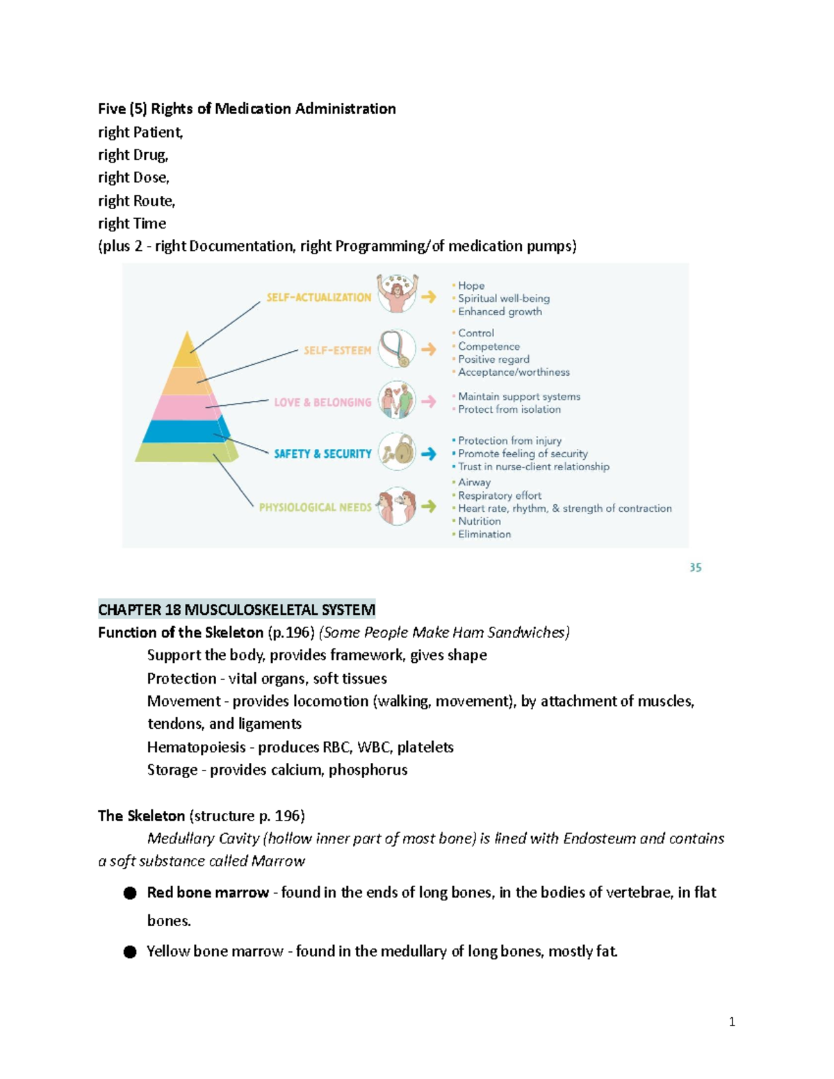 Study Guide Med Surg I 8 - LAB Value Cheat Sheet - Five (5) Rights of ...