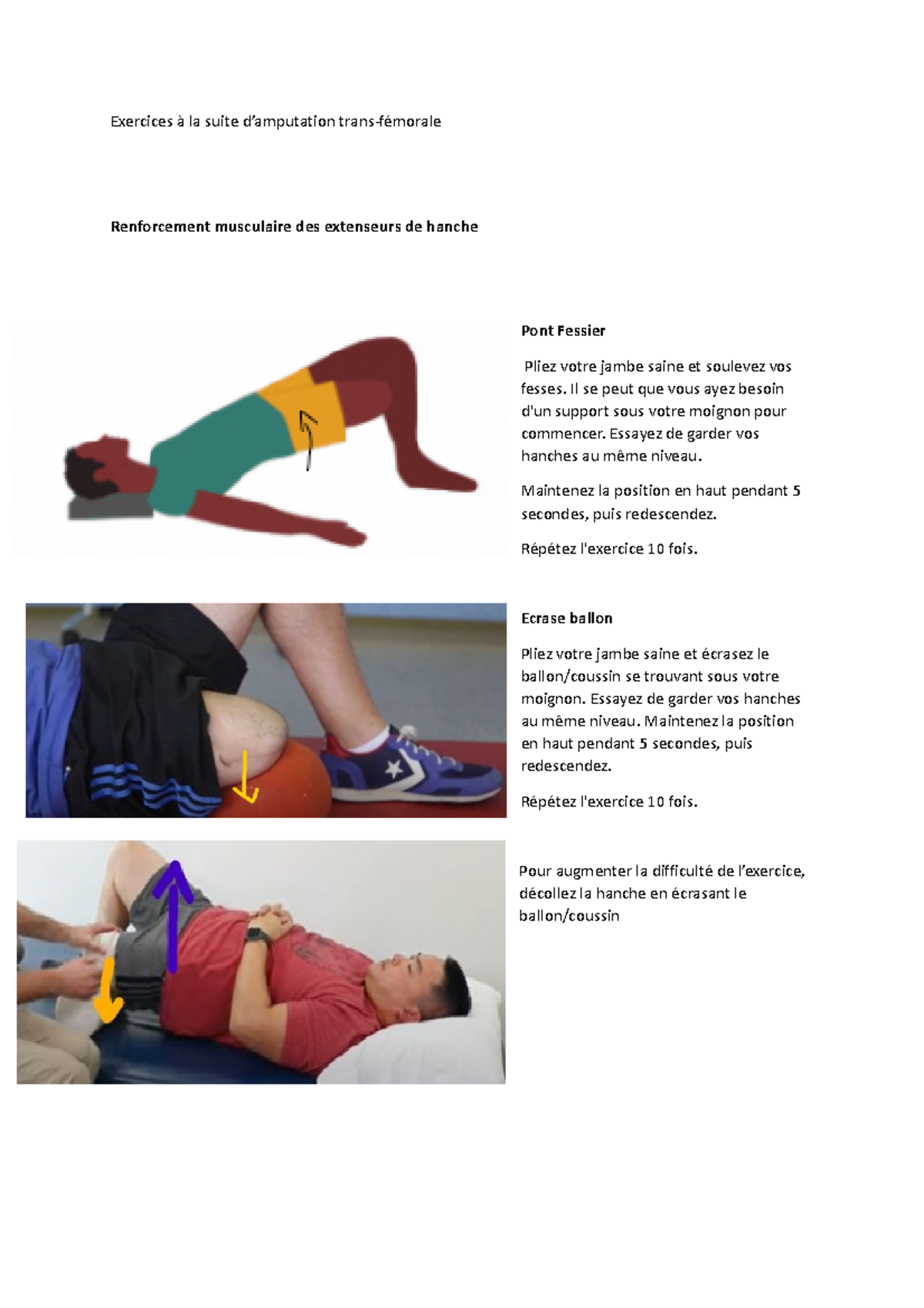 Exercices à la suite à amputation TF - Anatomie - Université Paris 13 ...