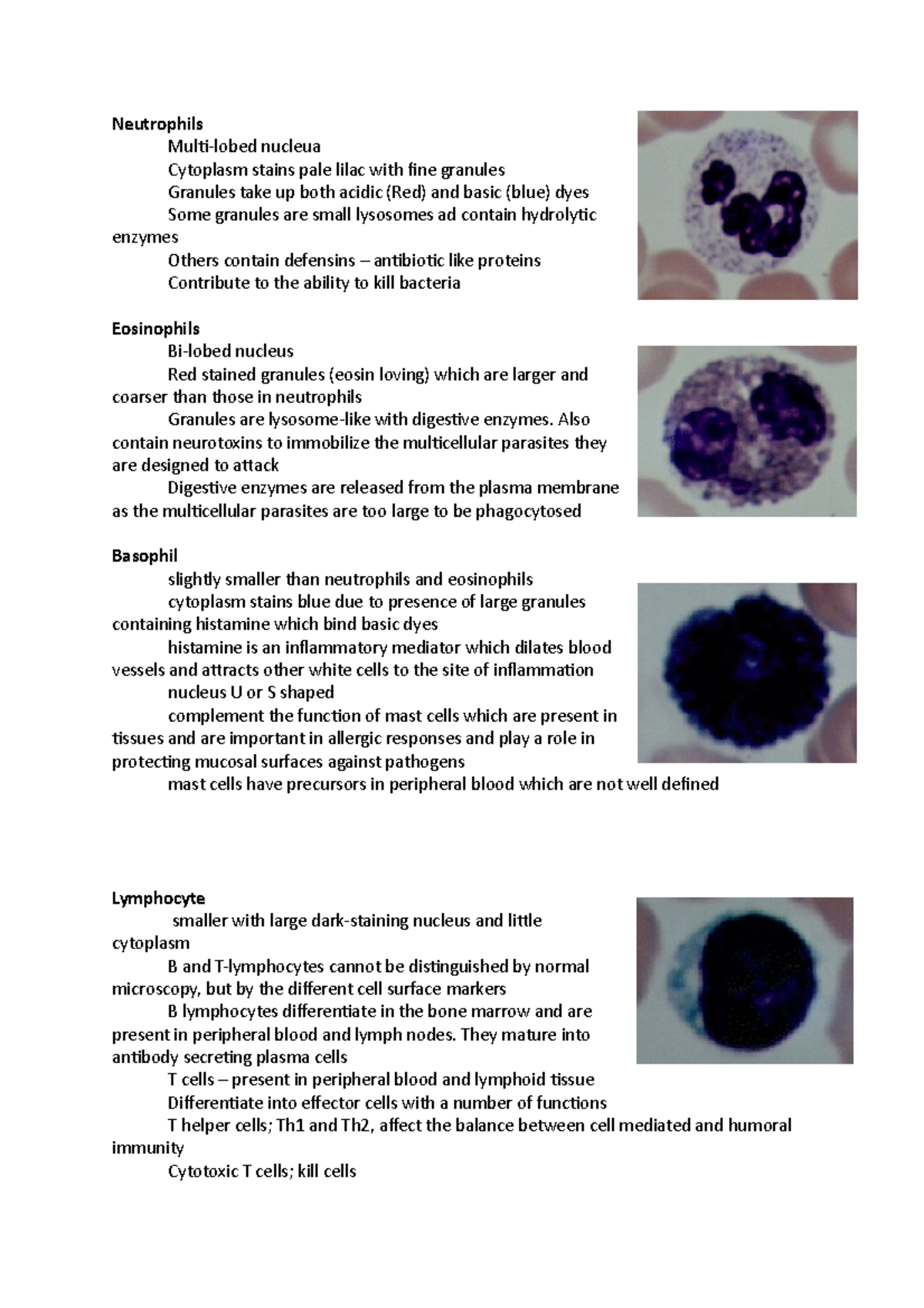 Anatomy and physiology with clinical correlations 2 - White blood cells ...