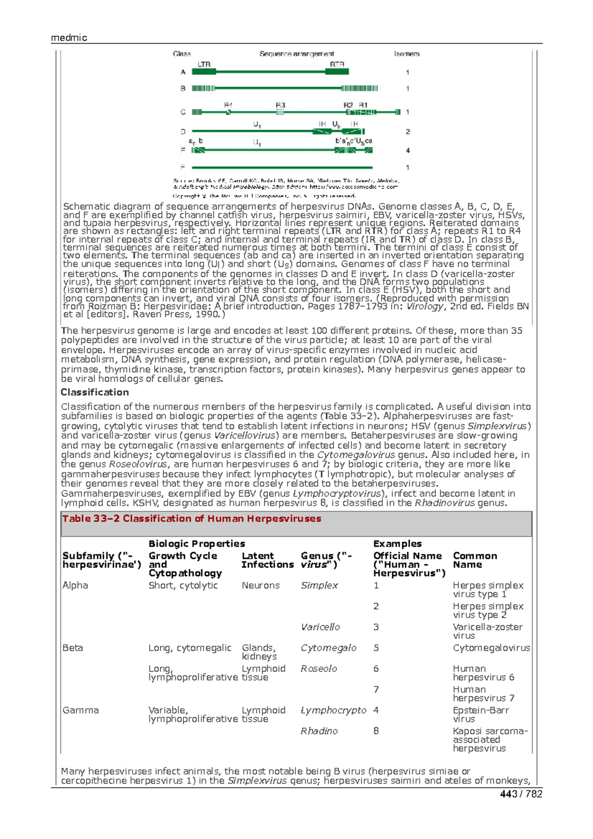 Jawetz s Medical Microbiology Twenty Fifth Edition Lange Basic Science -401-500-45 - Schematic ...