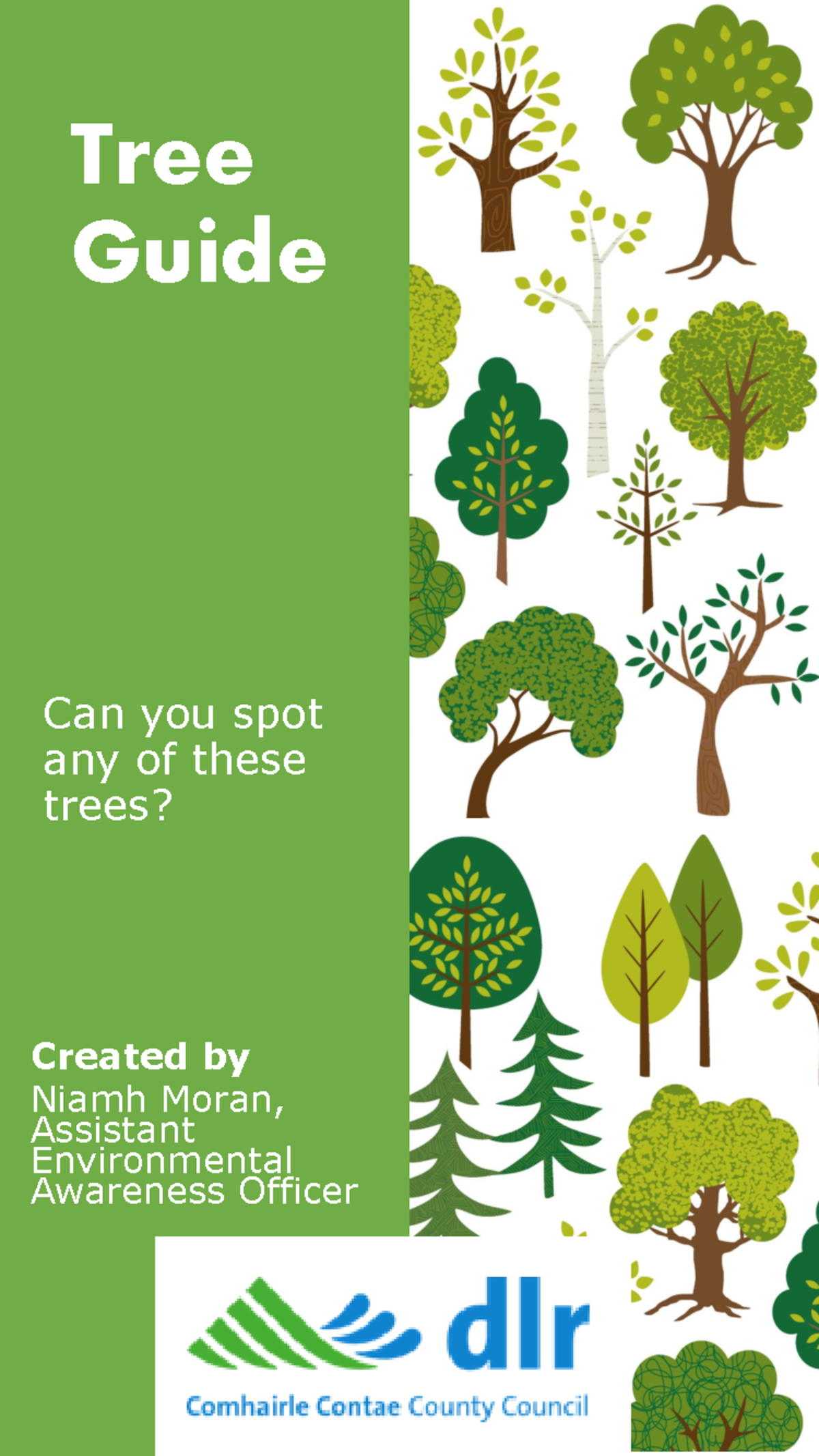 Dlr tree guide - Can you spot any of these trees? Tree Guide Created by ...