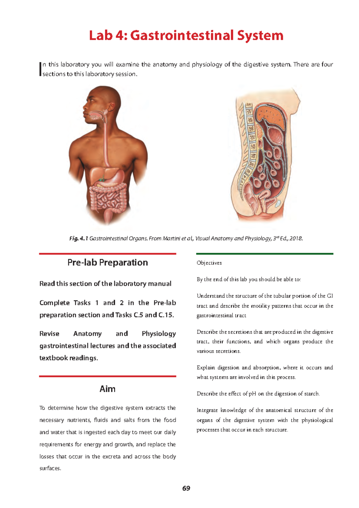 Lab 4 - GI - 2020 Answers - Lab 4: Gastrointestinal System I n this ...