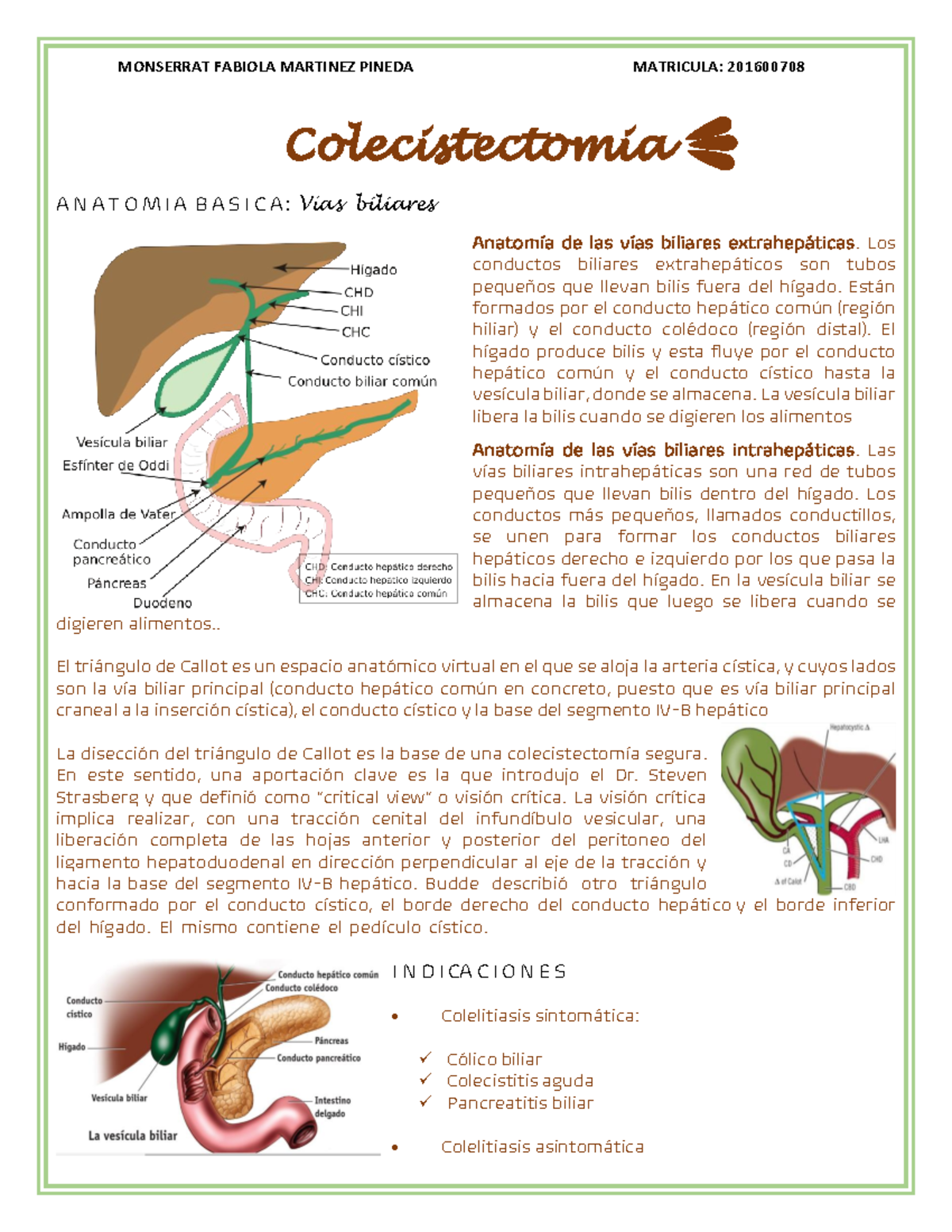 Colecistectomia Resumen Colecistectomia A N A T O M I A B A S I C A