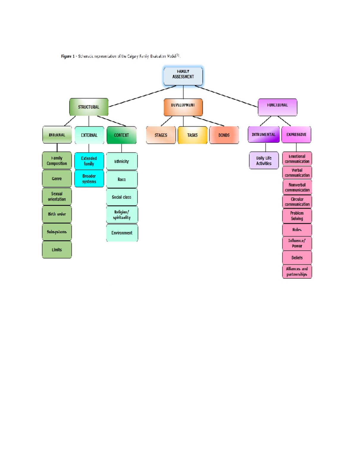 Calgary Family Assessment Final Summary ( Questions) - Calgary Family ...