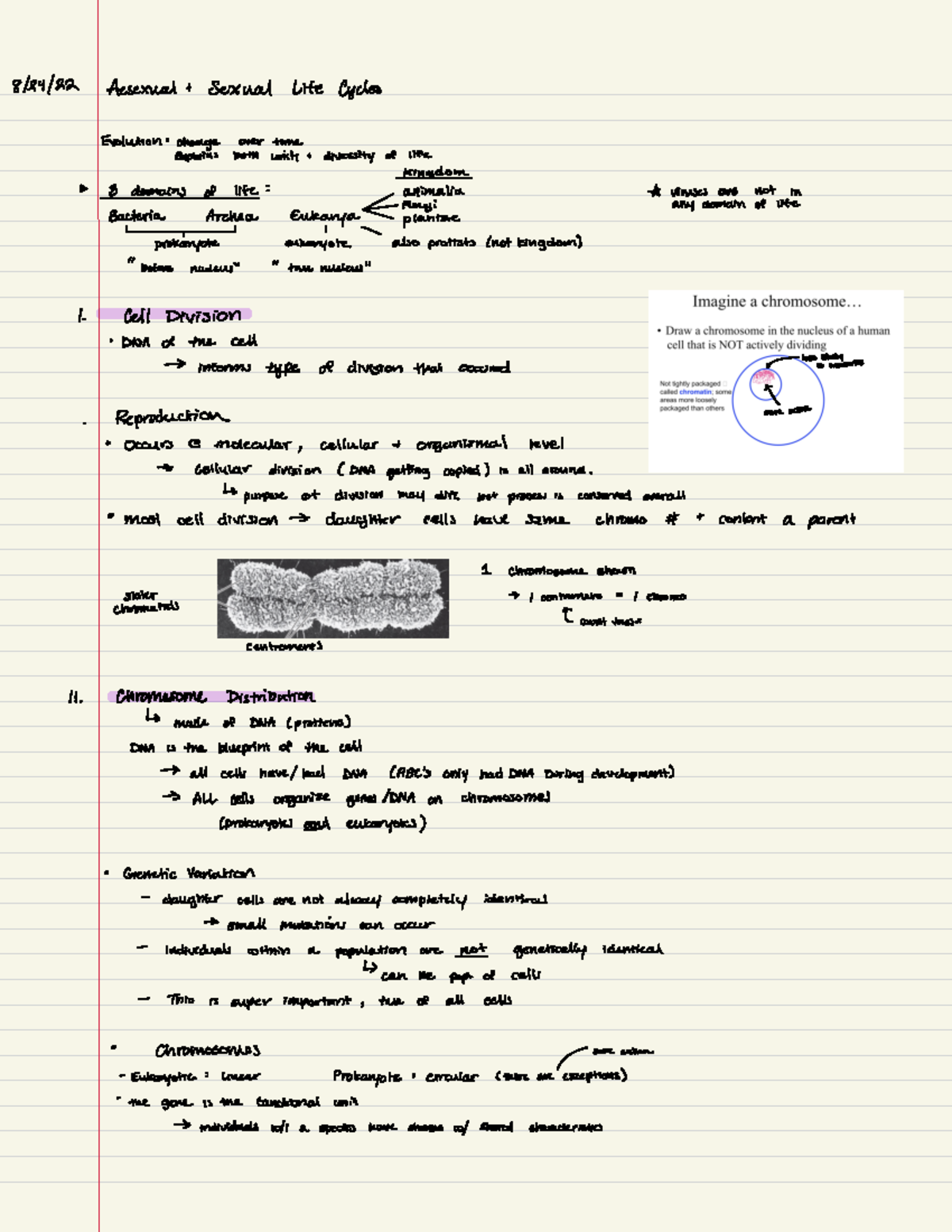 Bio115 Aesexual And Sexual Life Cycles 8 24 22 Aesexwalt Sexual Life