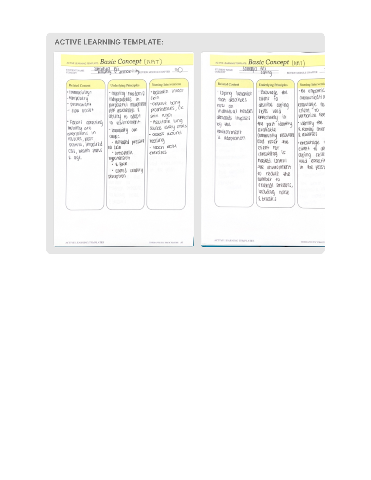 Active Learning Template: - ACTIVE LEARNING TEMPLATE: ACTIVE LEARNING ...