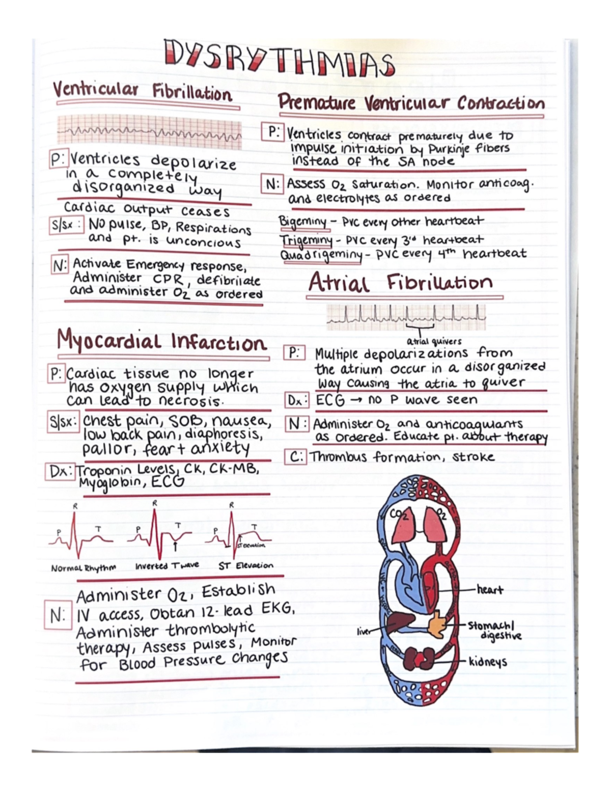 Cardiac notes to know - NSG 4100 - Studocu