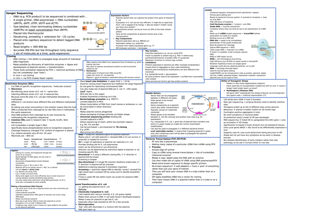 Biosci 202 CHEAT SHEET - CRISPR Sanger Sequencing Clustered regularly ...