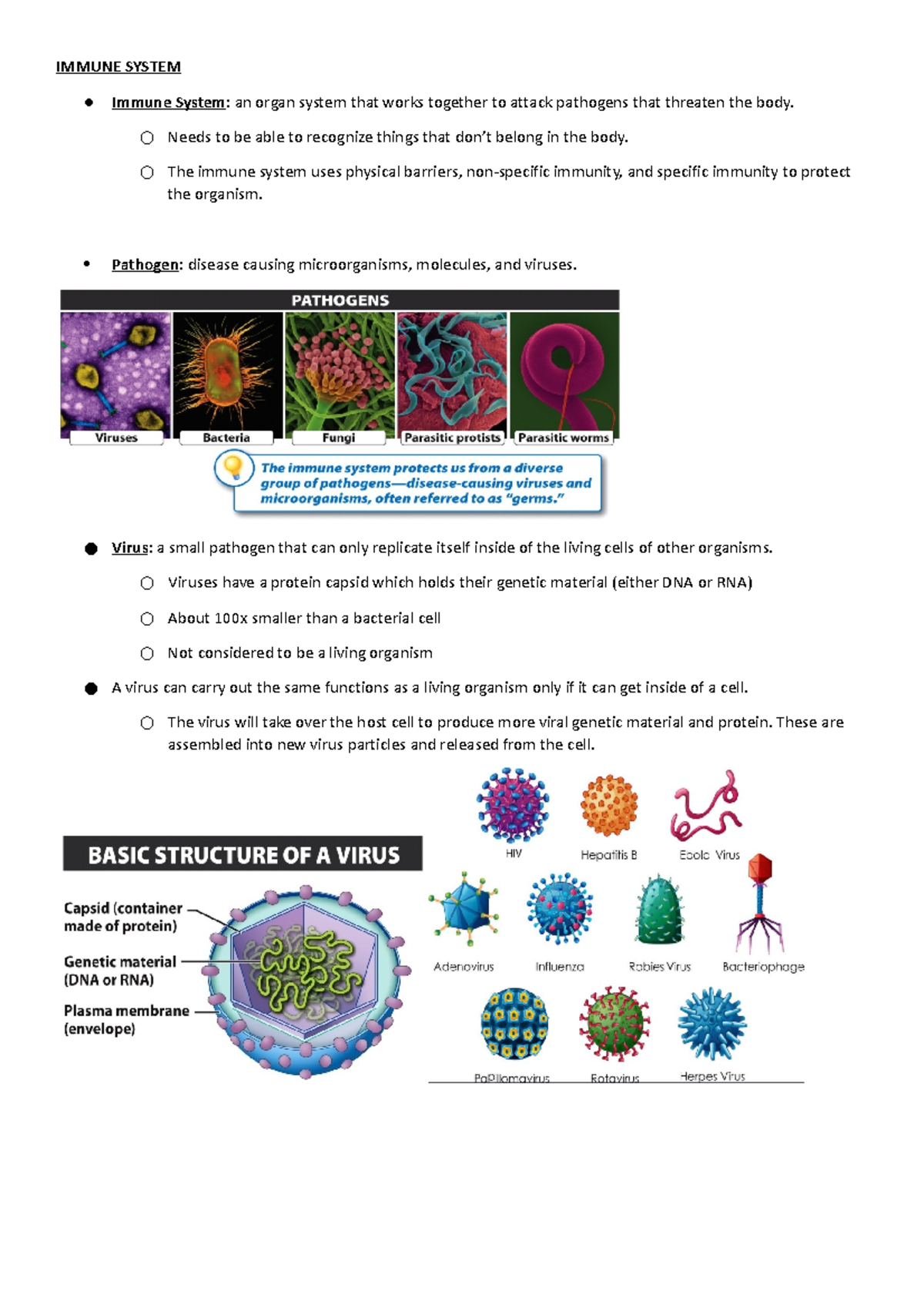 Biology- Final- Reviewer - IMMUNE SYSTEM Immune System: an organ system ...