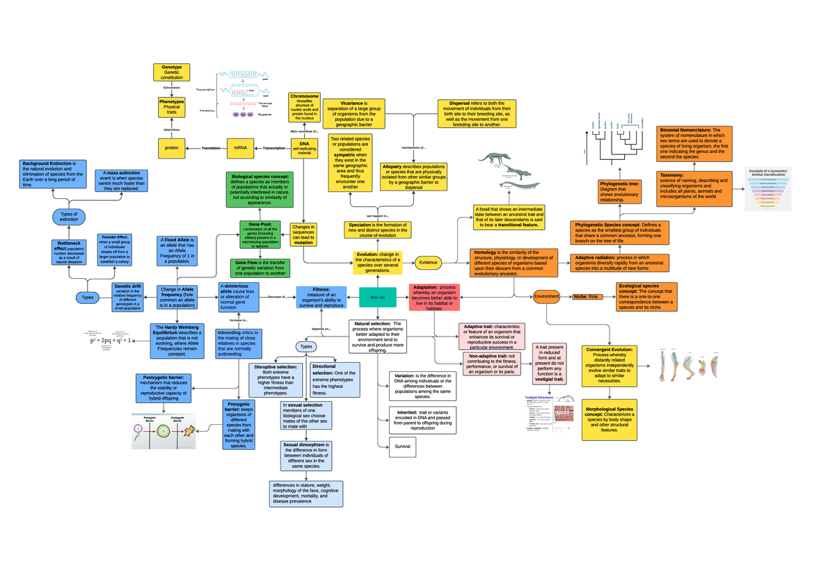 concept map midterm - BISC 102 Evolution: change in the characteristics of a species over ...