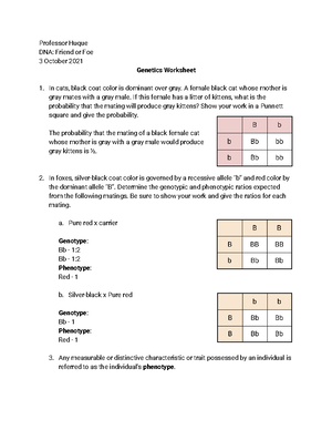 P GLO Plasmid Map Explanation - pGLO Plasmid Download pGLO Map and ...