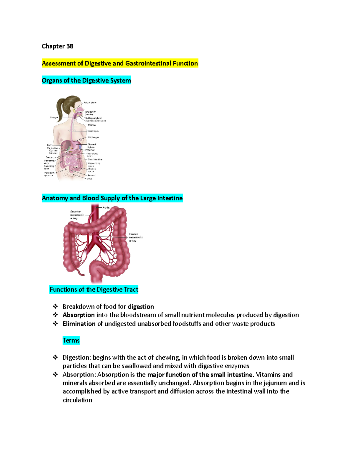 Chapter 38- Assessment Of Digestive And Gastrointestinal Function ...