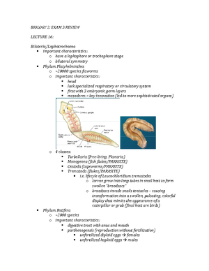 Protists Chart - Supergroup Taxonomic group Motility Mode of nutrition ...