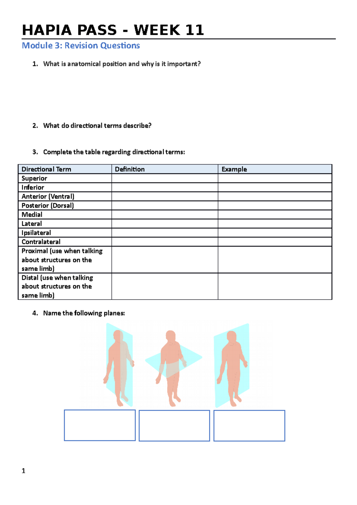 Week 11 - PASS Worksheet - HAPIA PASS - WEEK 11 Module 3: Revision ...