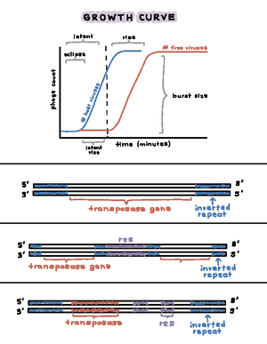 Mendelian Inheritance - Medelian Genetics: Basic Principles of ...