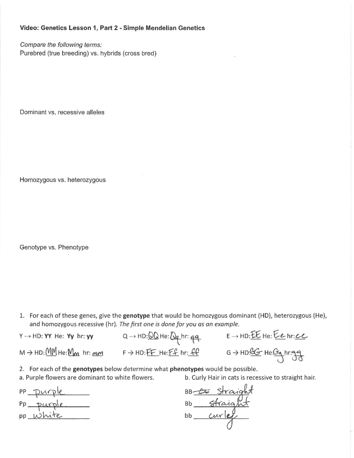 Genetics notes key mendelian genetics - Studocu