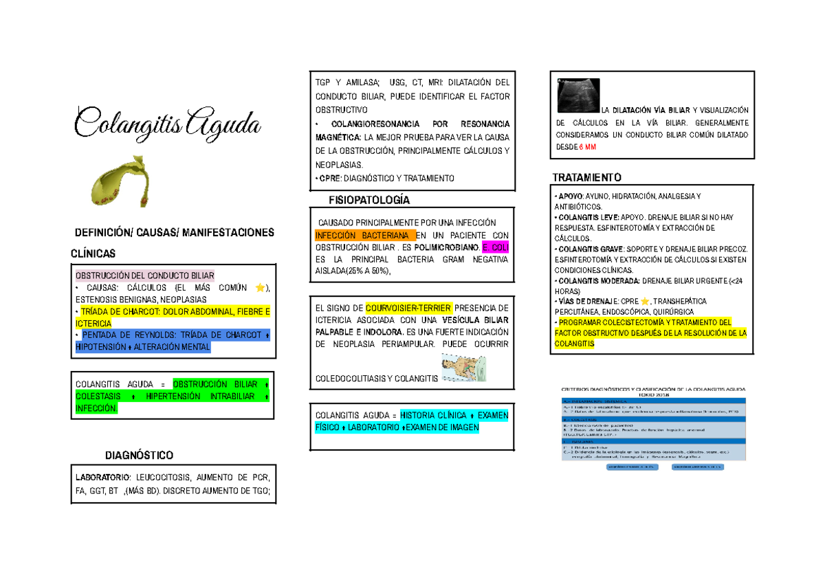 MAPA Mental - Colangitis Aguda DEFINICIÓN/ CAUSAS/ MANIFESTACIONES ...