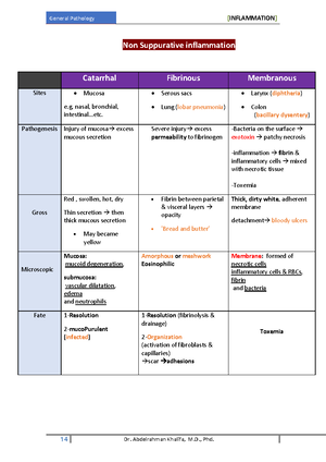Patho 3 - Reversible injury - Hydropic degeneration (cloudy swelling ...