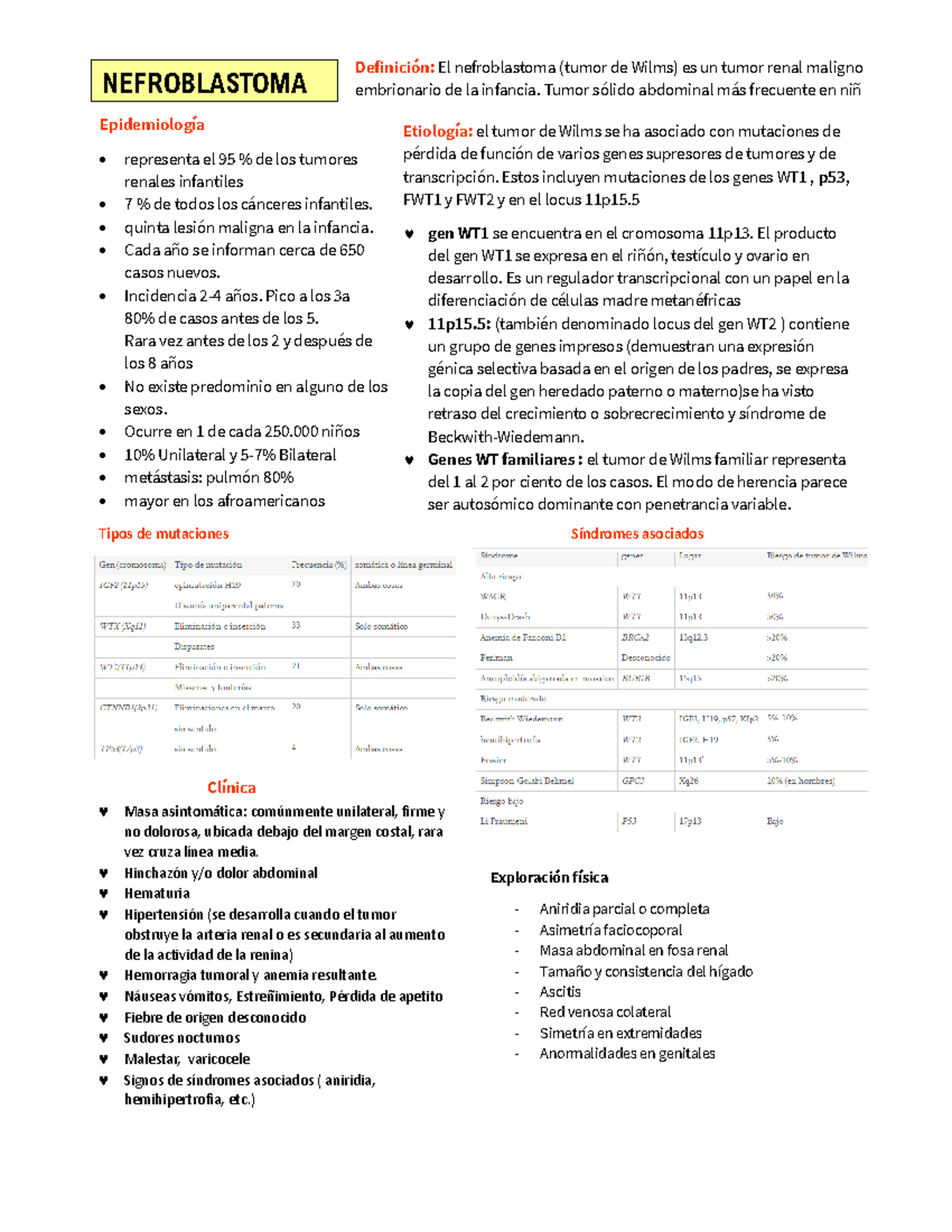 Nefroblastoma - definición, etiología, clínica, diagnostico y ...