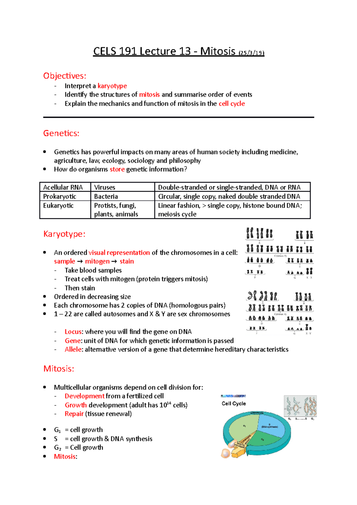 CELS 191 Lecture 13 - CELS 191 Lecture 13 - Mitosis (25/3/19) Objectives: Interpret a karyotype ...