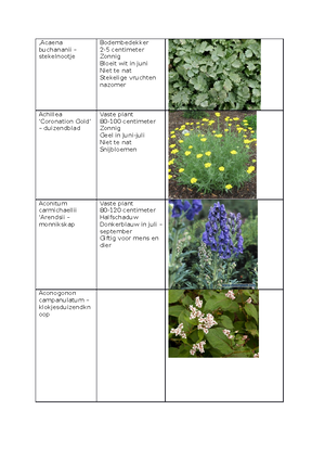 Kenmerken algemeen en grassen - Plantenkennis - Studeersnel