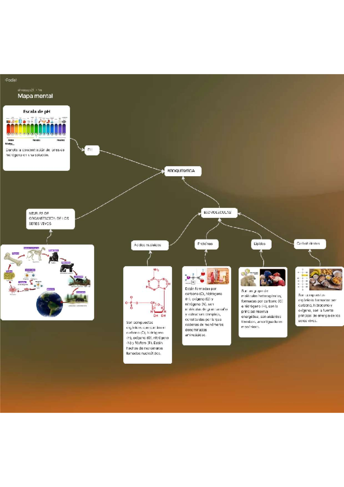 MAPA Mental - Bioquímica y Biología Molecular I - Studocu