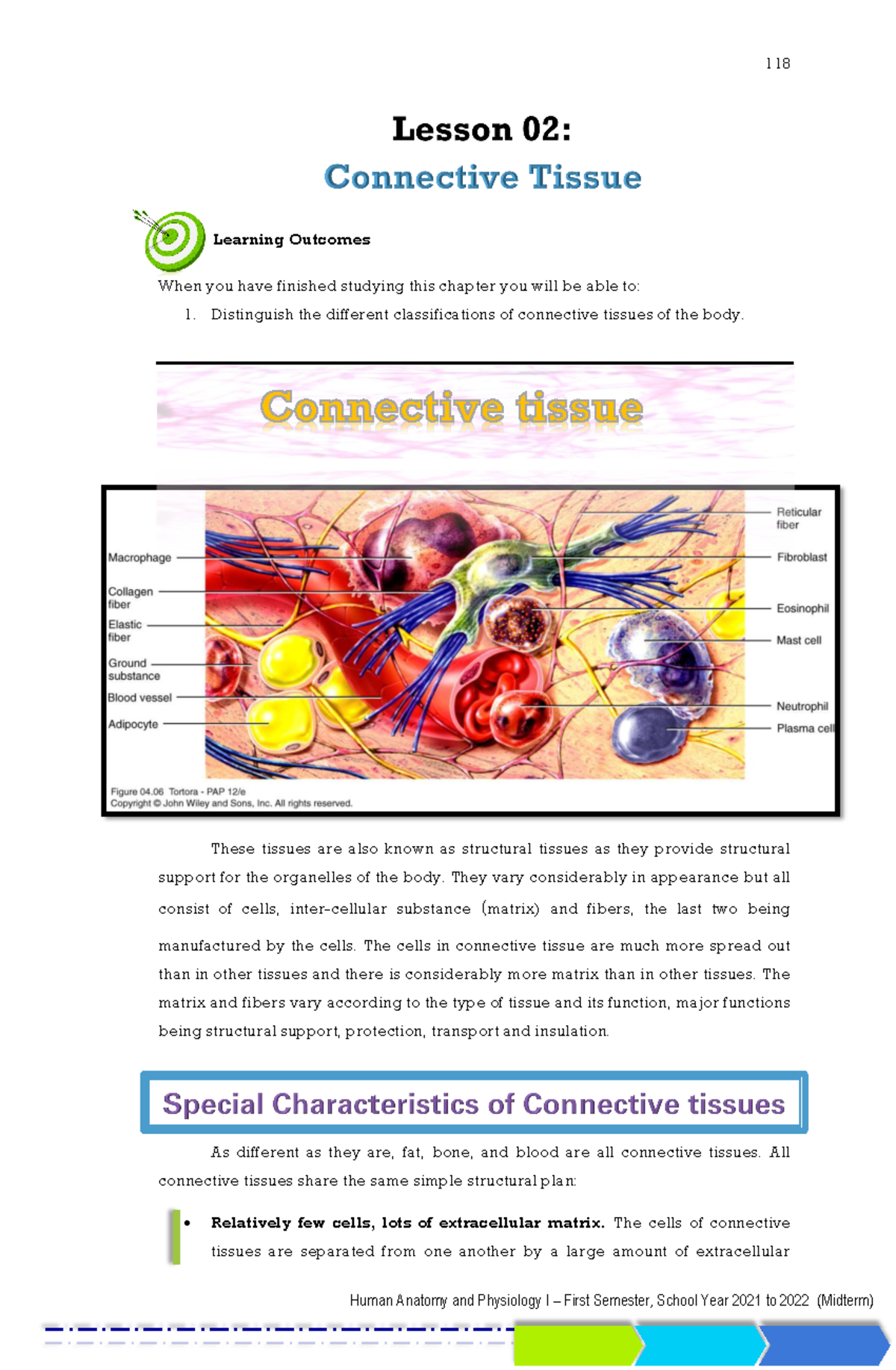 Tissue Level Module Lesson 2 - Learning Outcomes When you have finished ...
