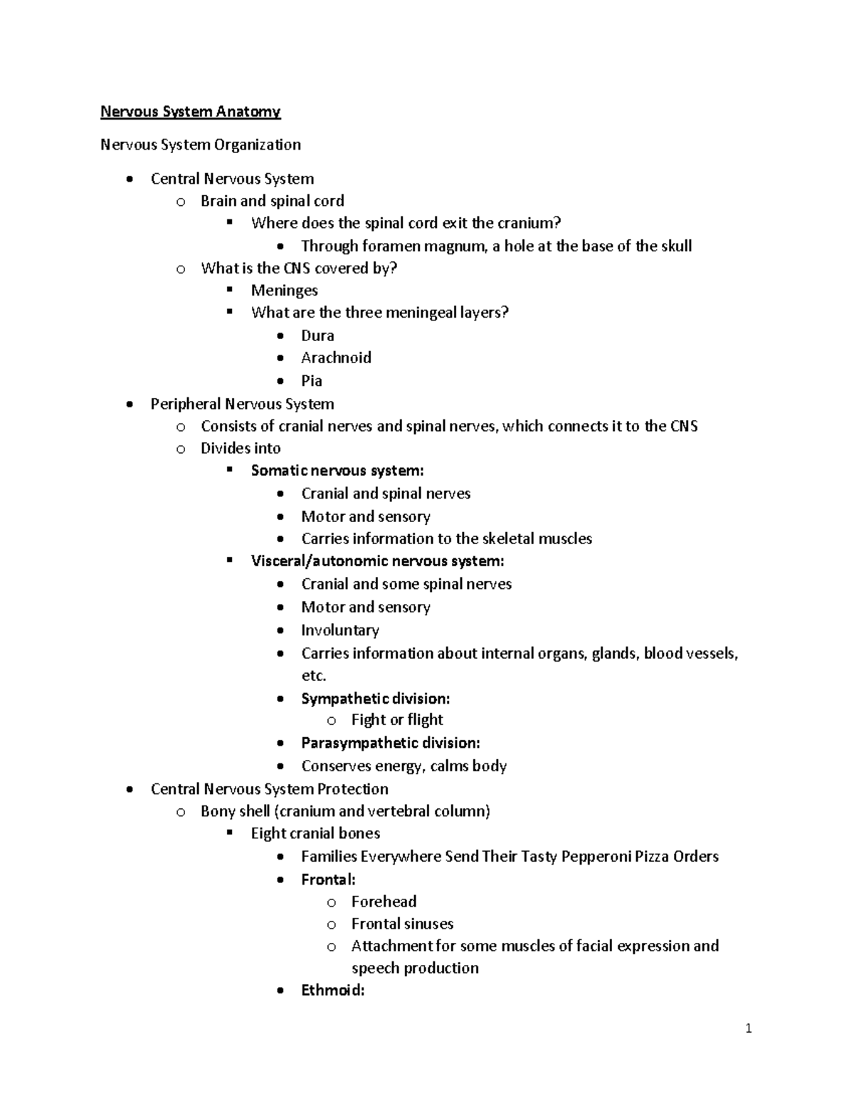 Nervous System Anatomy Warning Tt Undefined Function 32 Warning Tt Undefined Function 32