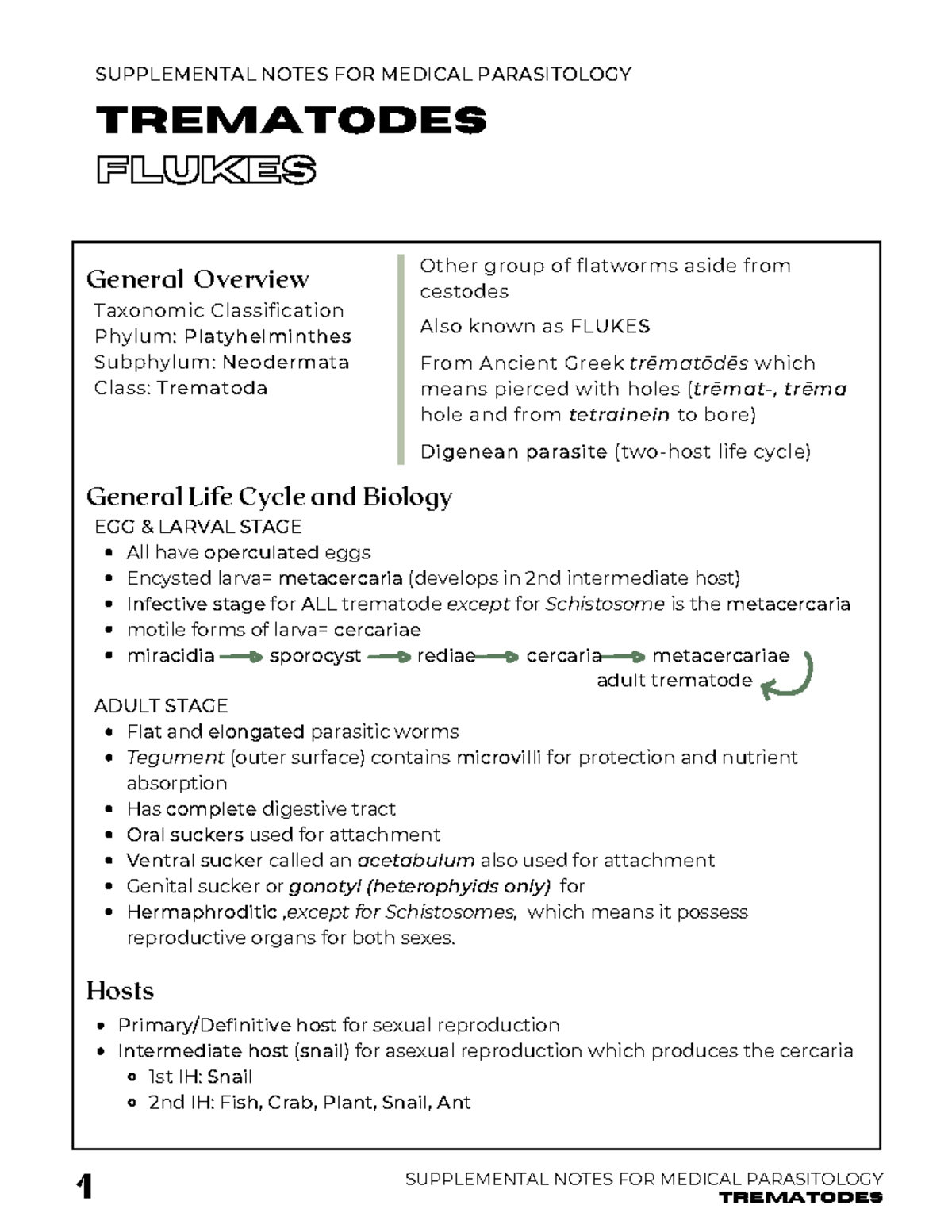 Trematodes - General Overview Taxonomic Classification Phylum ...