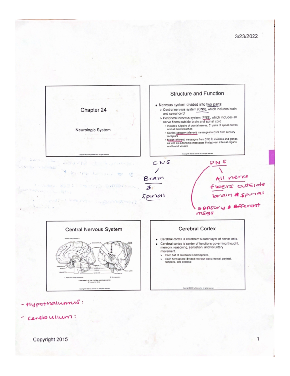 Ch - Chapter 24 Study Notes - NR-304 - Studocu