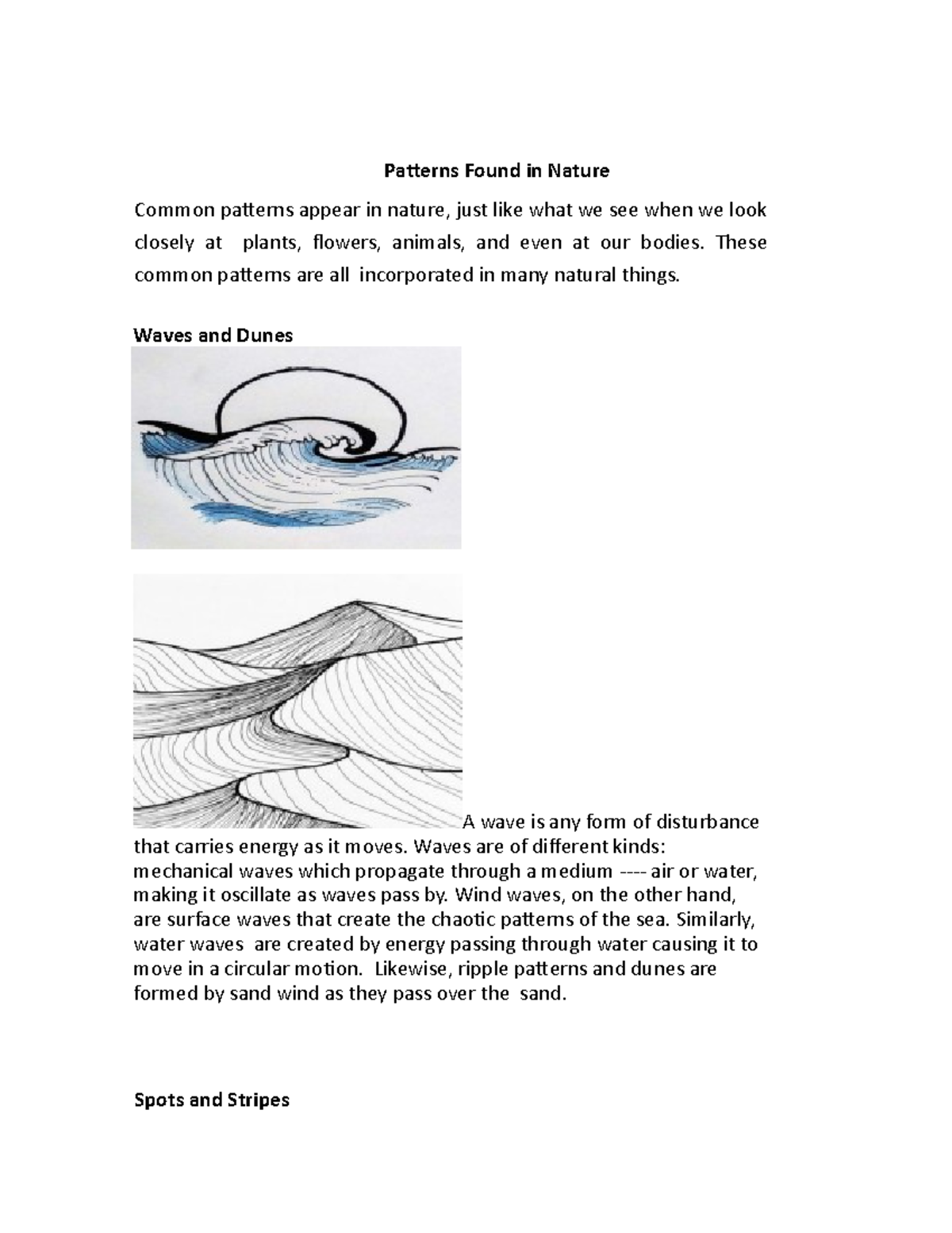 Patterns Found in Nature - Patterns Found in Nature Common patterns ...
