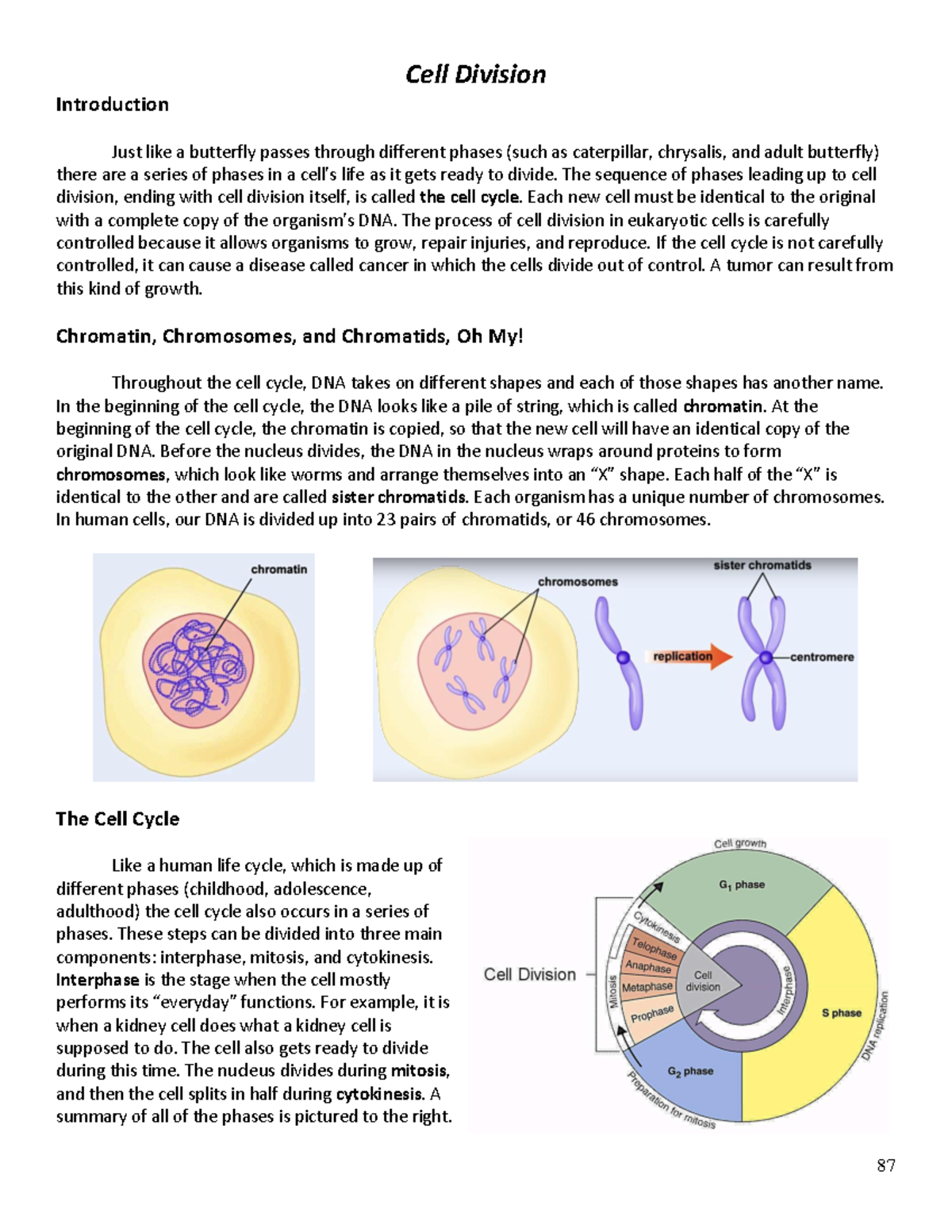 Workbook - Cell Division - Cell Division Introduction Just like a ...