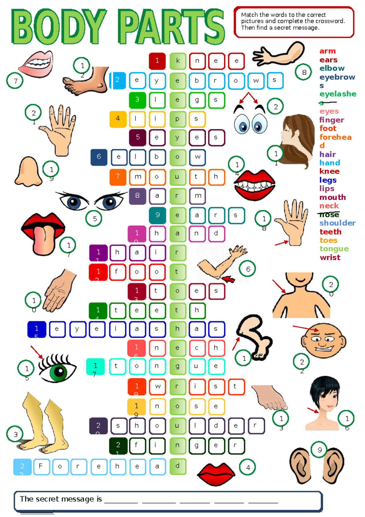 BODY Parts - Lecture notes 1 - k e e p y o u r e a r t o t h e g r o u ...