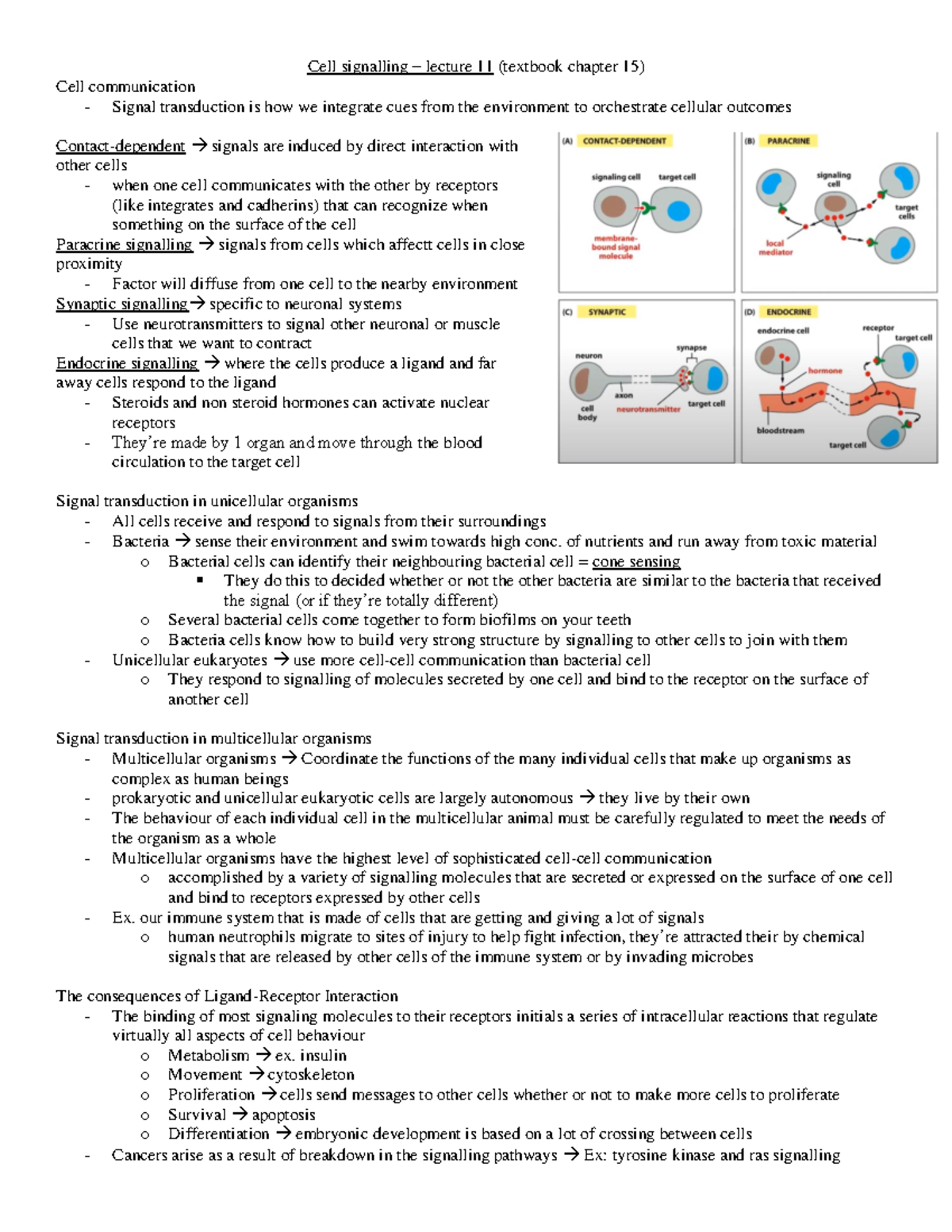 Cell signalling Lecture 11 - Cell signalling – lecture 11 (textbook ...