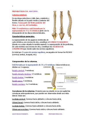 Indice de torg pavlov 10 - UNIVERSIDAD NACIONAL DE LA RIOJA Índice de ...