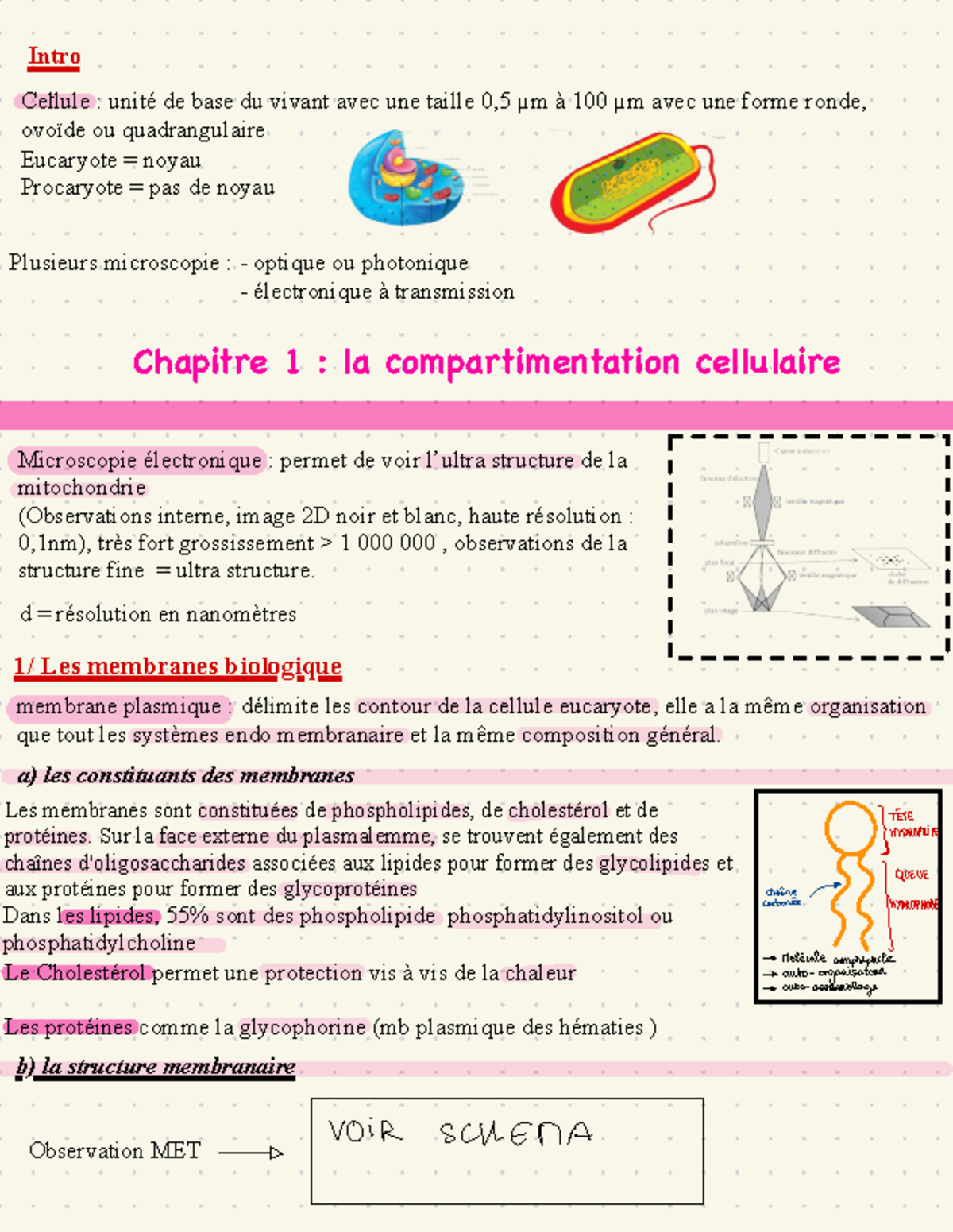 Cours 1 - Compartiment cellulaire - Intro Cellule : unité de base du ...