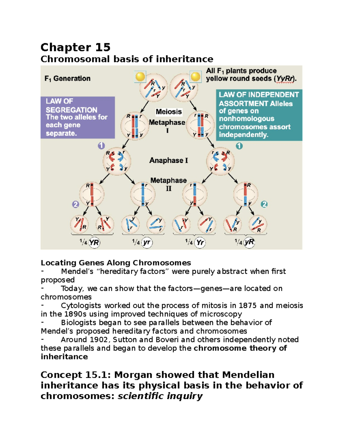 Lsu biol 1201 chap 15 notes - Chapter 15 Chromosomal basis of ...
