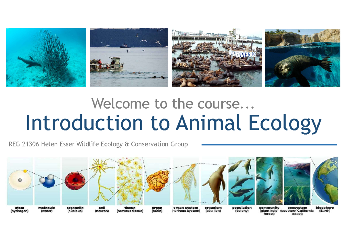 PPT 1 - Intro - PPT - REG 21306 Helen Esser Wildlife Ecology ...